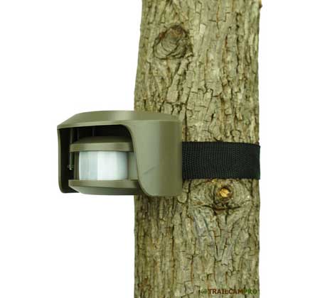 deer camera motion sensor
