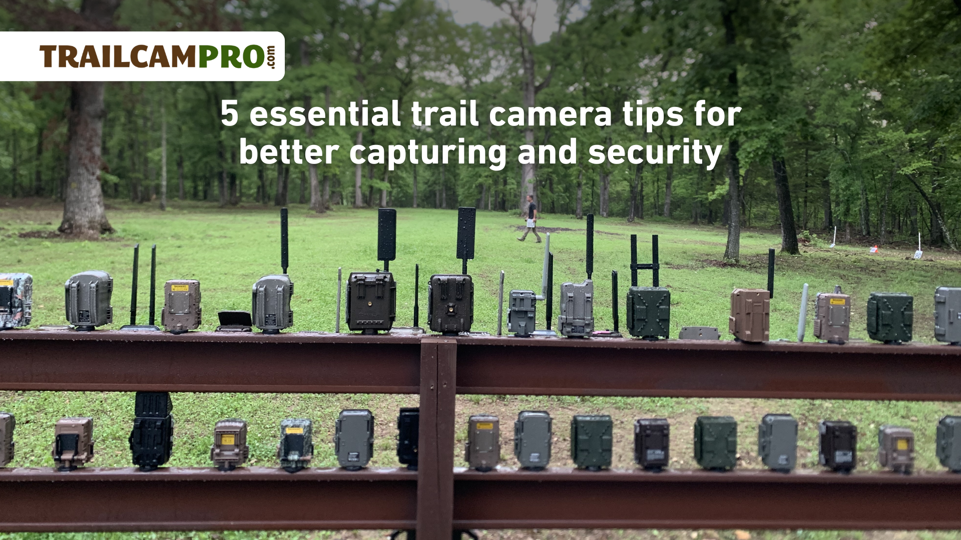 5 essential trail camera tips for better capturing and security