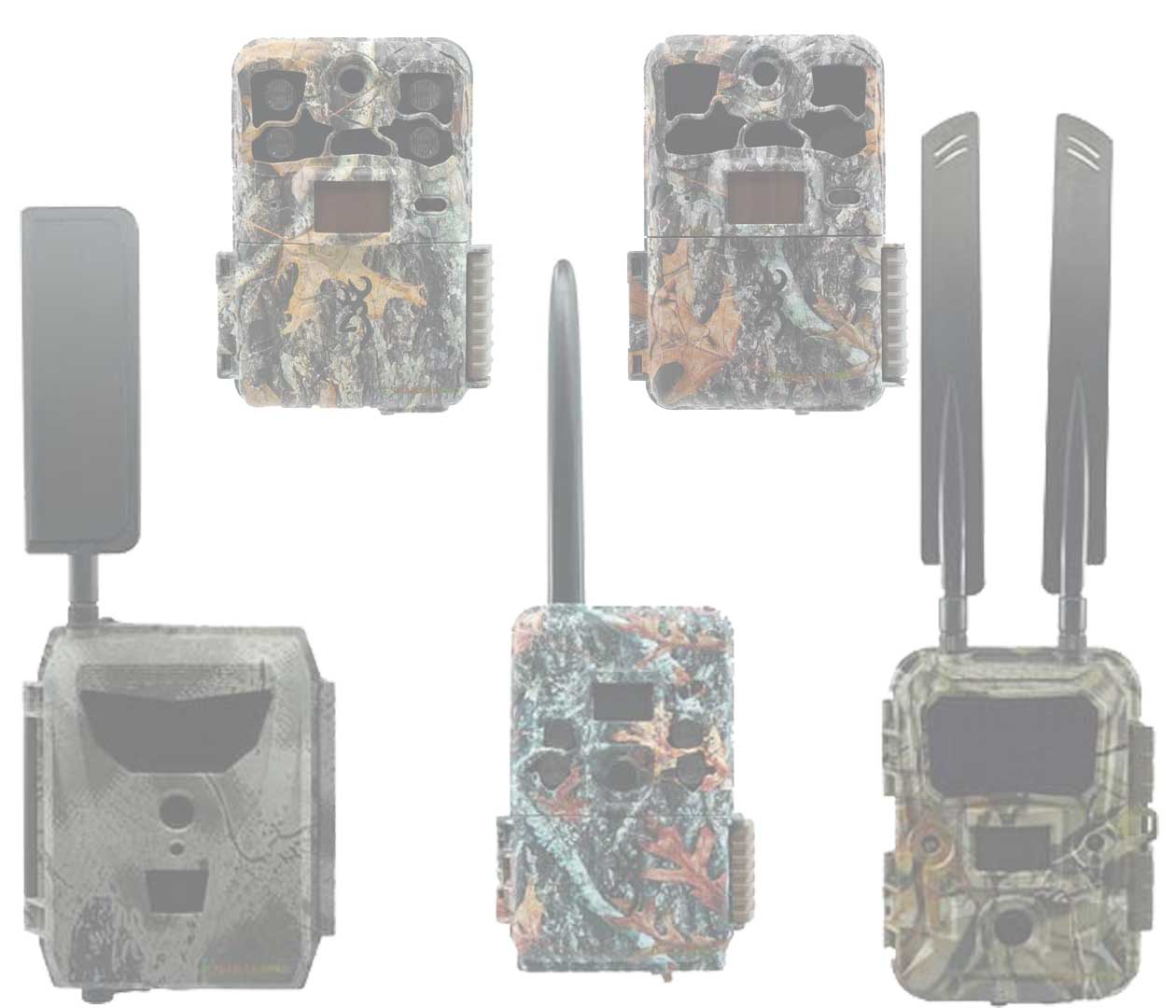 Top Game Trail Cameras in 2021 for Wildlife and Security