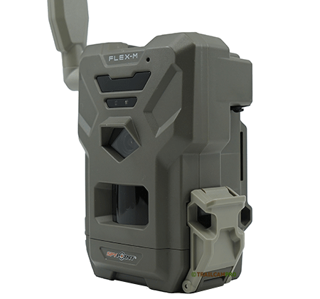 Spypoint Flex M Cellular Trail Camera Review | Trailcampro
