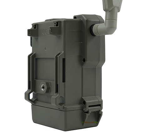Spypoint Flex M Cellular Trail Camera Review | Trailcampro