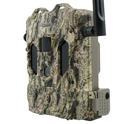 Bushnell Cellucore Live Cellular Trail Camera Review