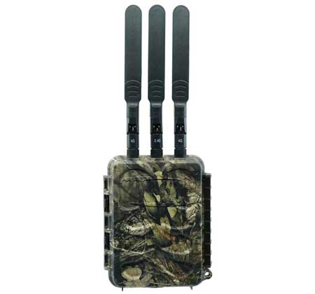 Covert LoRa Trail Camera System (LoRa LB-V3) - Verizon