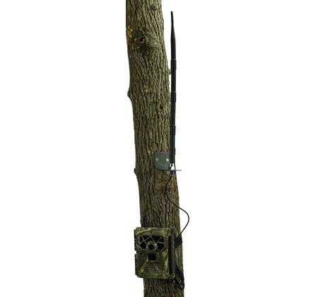 Covert Booster Antenna | Covert Camera Antenna | Trailcampro