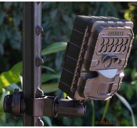 Reconyx T-Post Camera Mount - Adjustable | Trailcampro